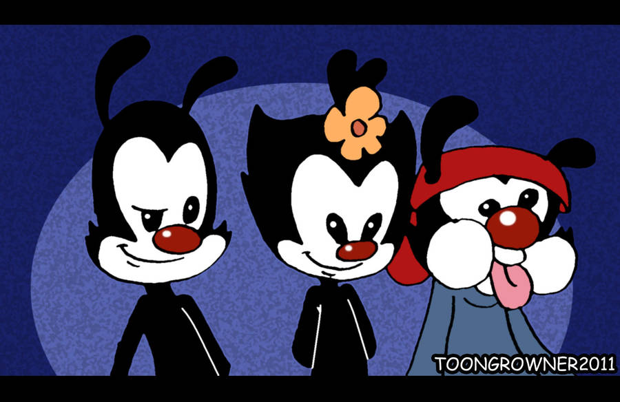 Animaniacs by toongrowner on DeviantArt