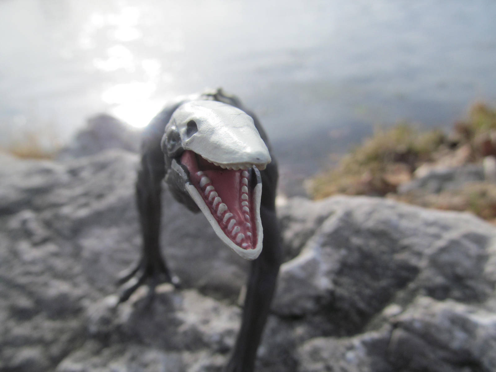 The Skull Crawler 3 by AcroSauroTaurus on DeviantArt