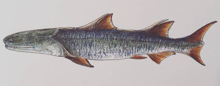 #sarcopterygian | Explore sarcopterygian on DeviantArt