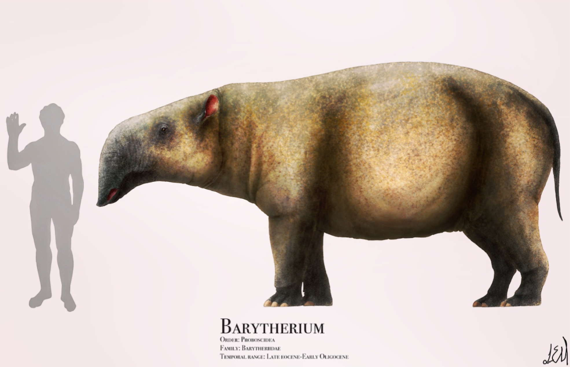 Moeritherium Toy