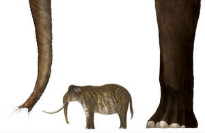 Barytherium by PrehistoryByLiam on DeviantArt