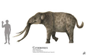 Barytherium by PrehistoryByLiam on DeviantArt