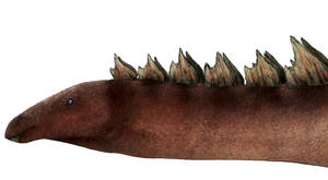 Hypuronector Head Detail by PrehistoryByLiam on DeviantArt