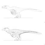 Utahraptor Sketch by PrehistoryByLiam on DeviantArt