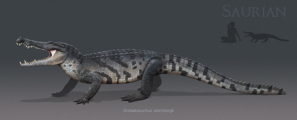 Paleoart favourites by Julio-Lacerda on DeviantArt