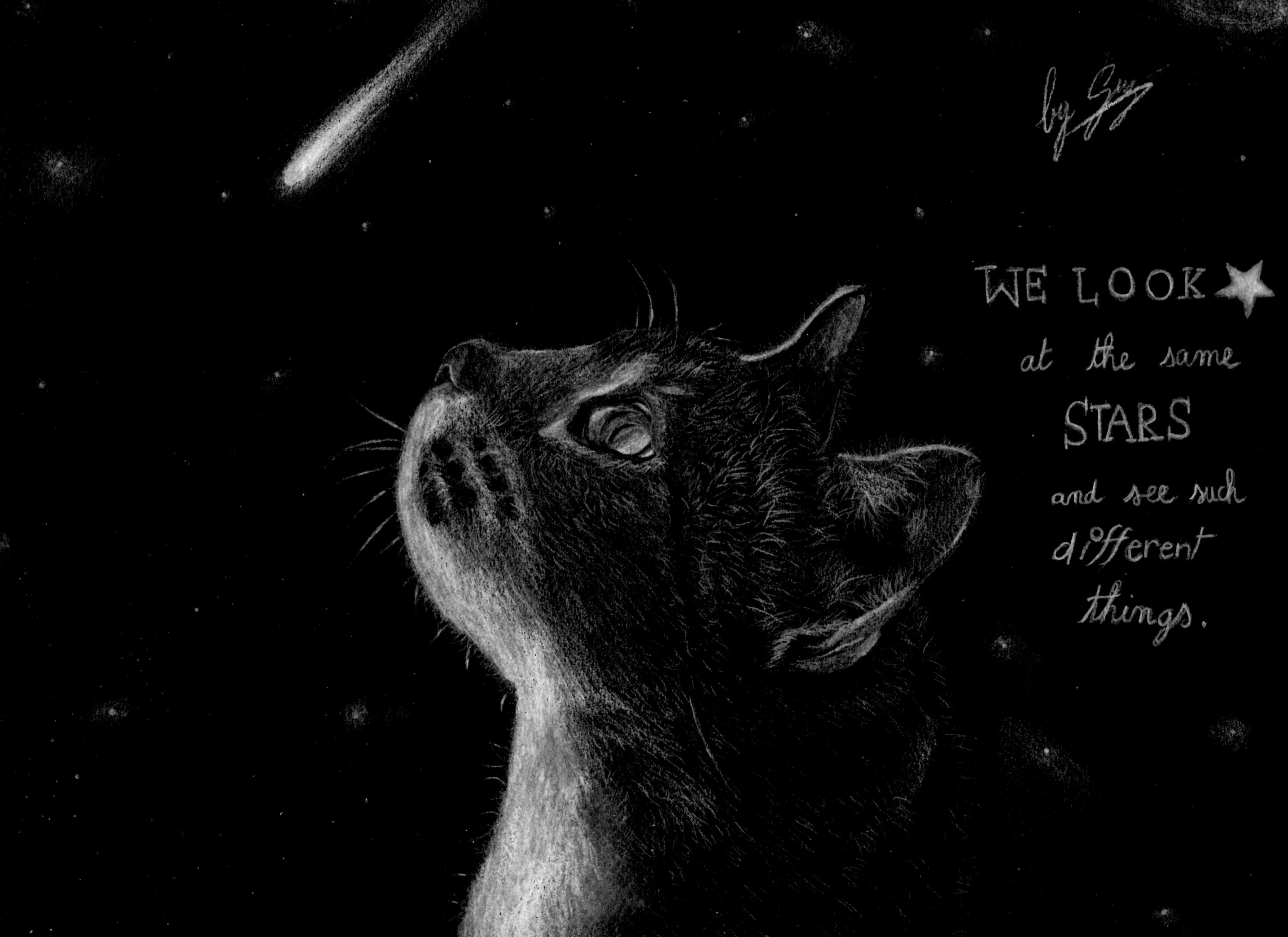 CAT LOOKING AT THE STARS by POISONOUS-ART on DeviantArt