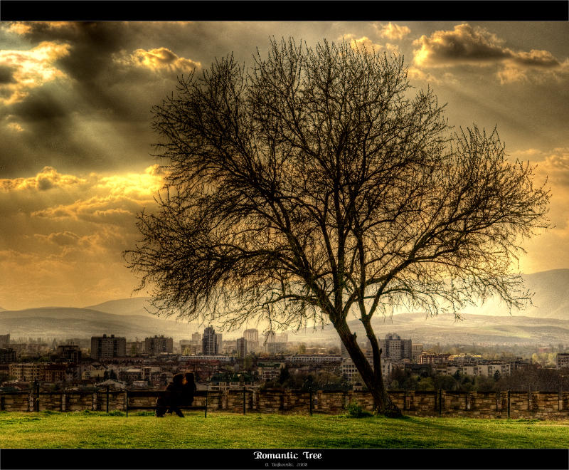 Romantic Tree by Bojkovski on DeviantArt