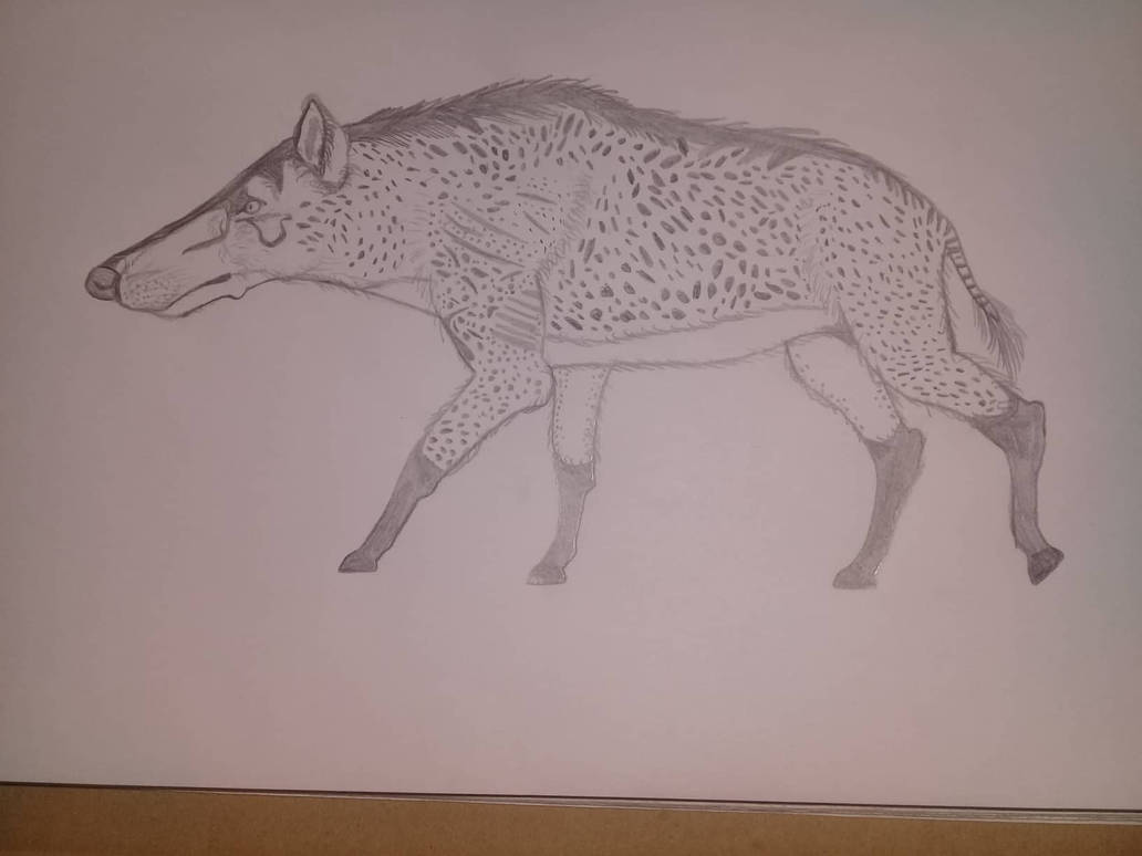 Daeodon shoshonensis by bLAZZE92 on DeviantArt