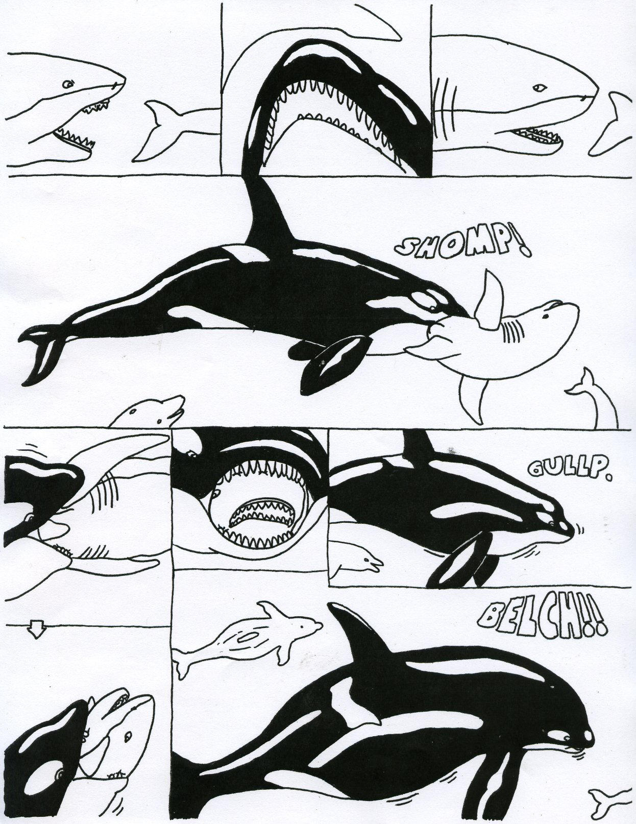 Orca Vore by Strega by Stonegate on DeviantArt
