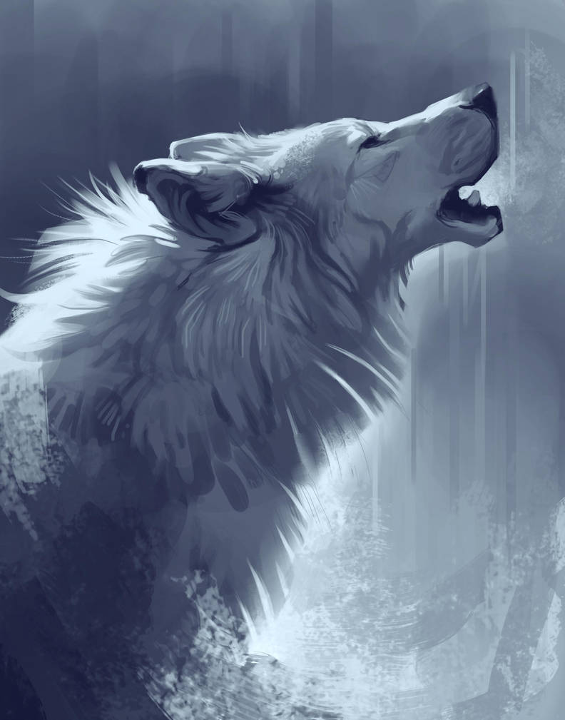 Wolf Drawing by TehChan on DeviantArt