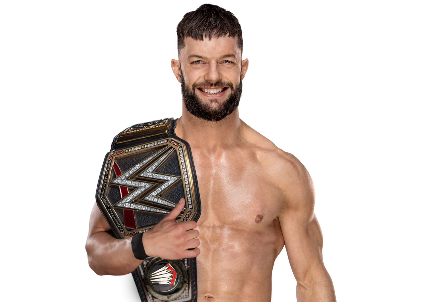 Finn Balor Wwe Champion by hamidpunk on DeviantArt