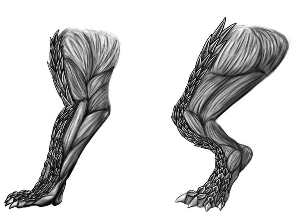 TitanGravy (Sarah) | DeviantArt