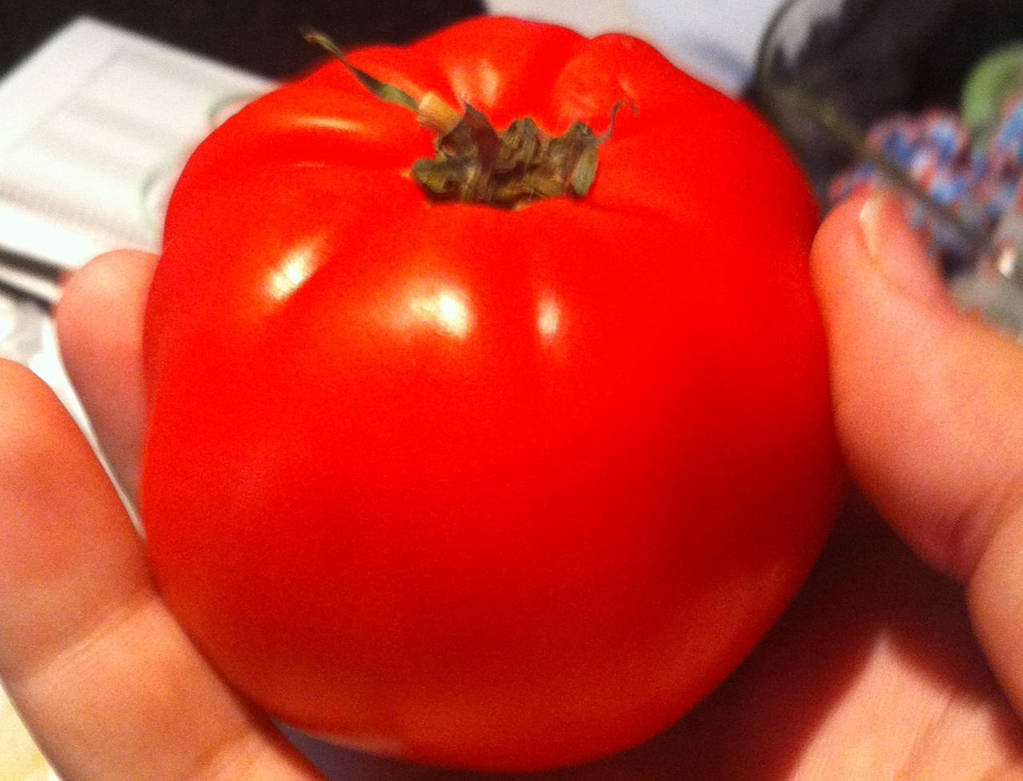Beautiful Tomato by The-Hero-Of-Thyme on DeviantArt