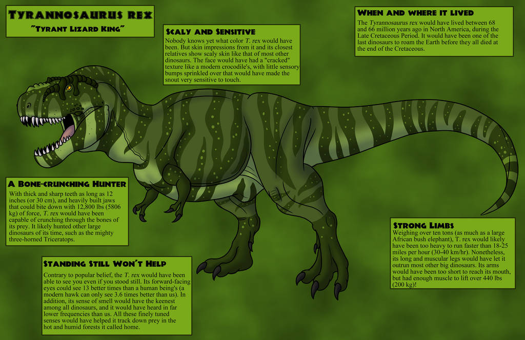 Triceratops Poster by BrandonScottPilcher on DeviantArt