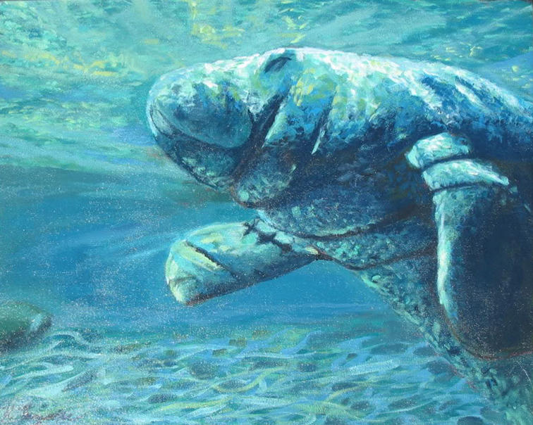 Manatee Painting by SolusCheese on DeviantArt