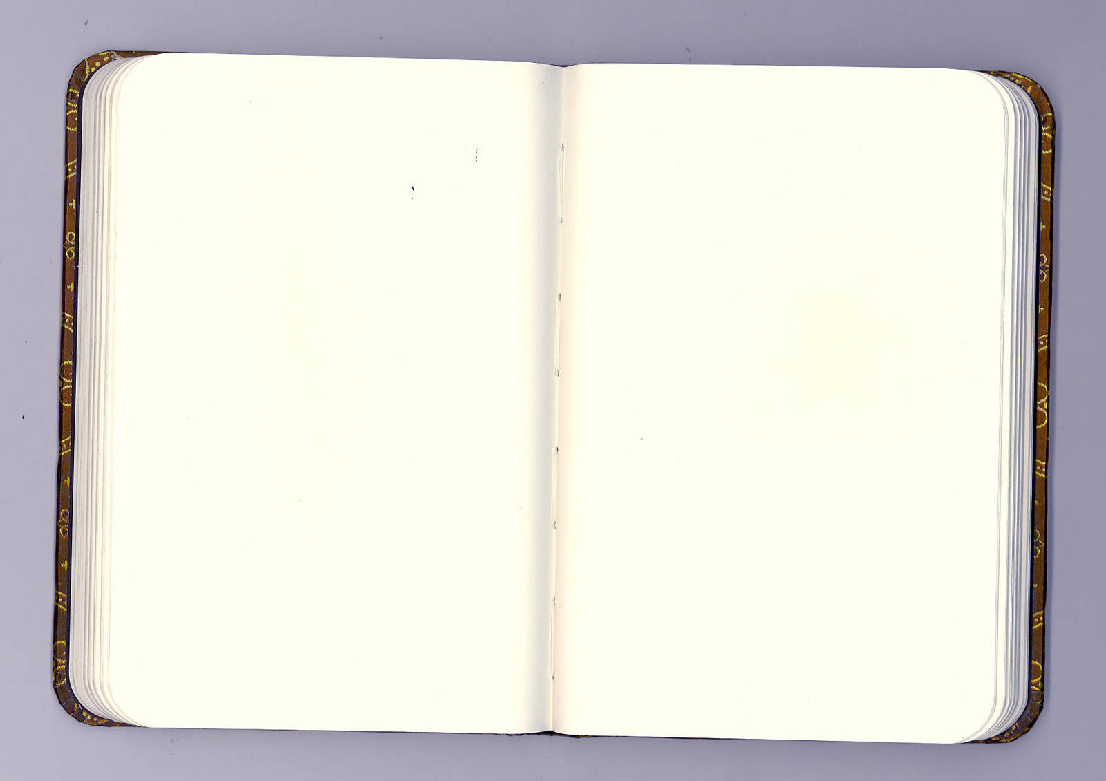 Blank Journal 1 by guggenheim on DeviantArt
