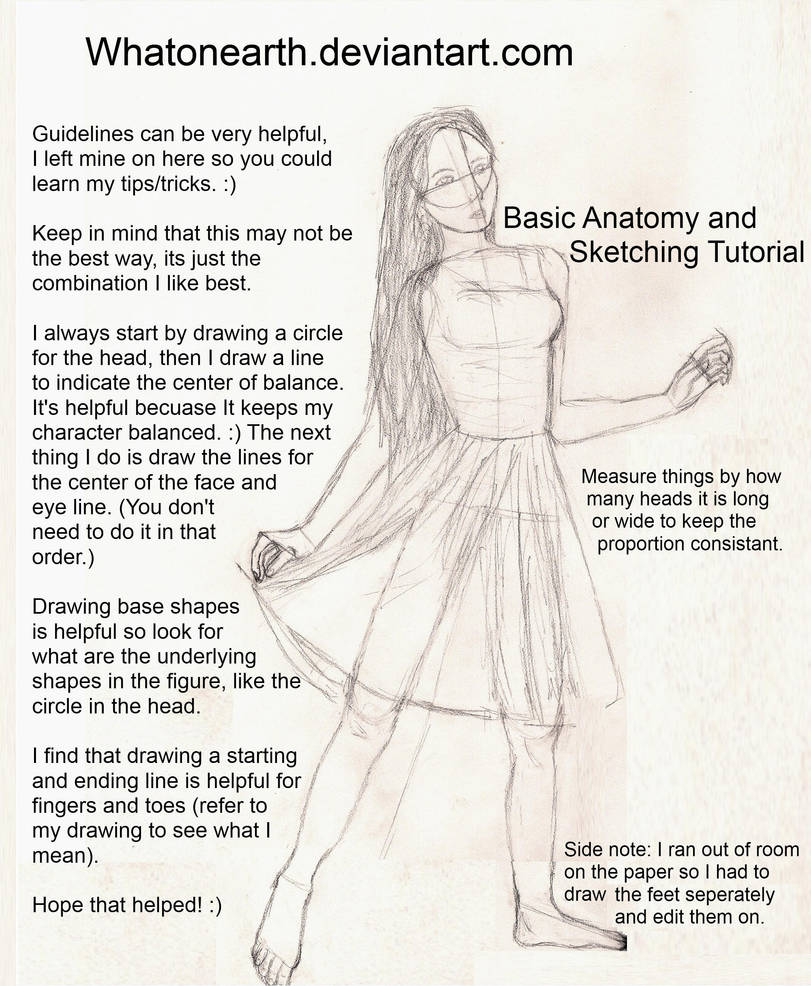 Basic Anatomy and Sketching by whatonearth on DeviantArt