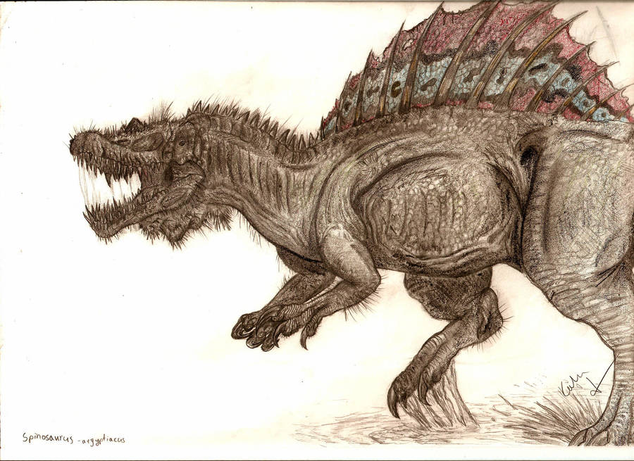 Spinosaurus aegyptiacus by Teratophoneus on DeviantArt
