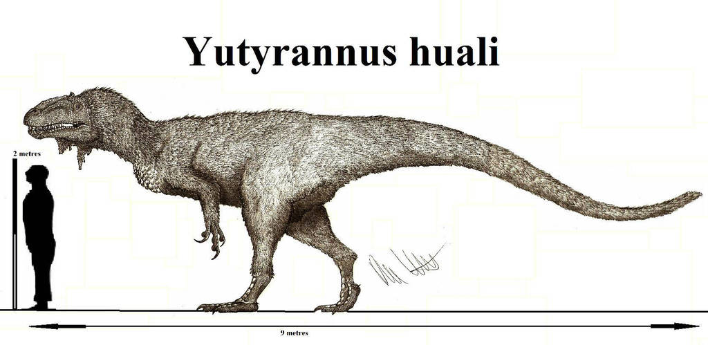 Yutyrannus huali by Teratophoneus on DeviantArt