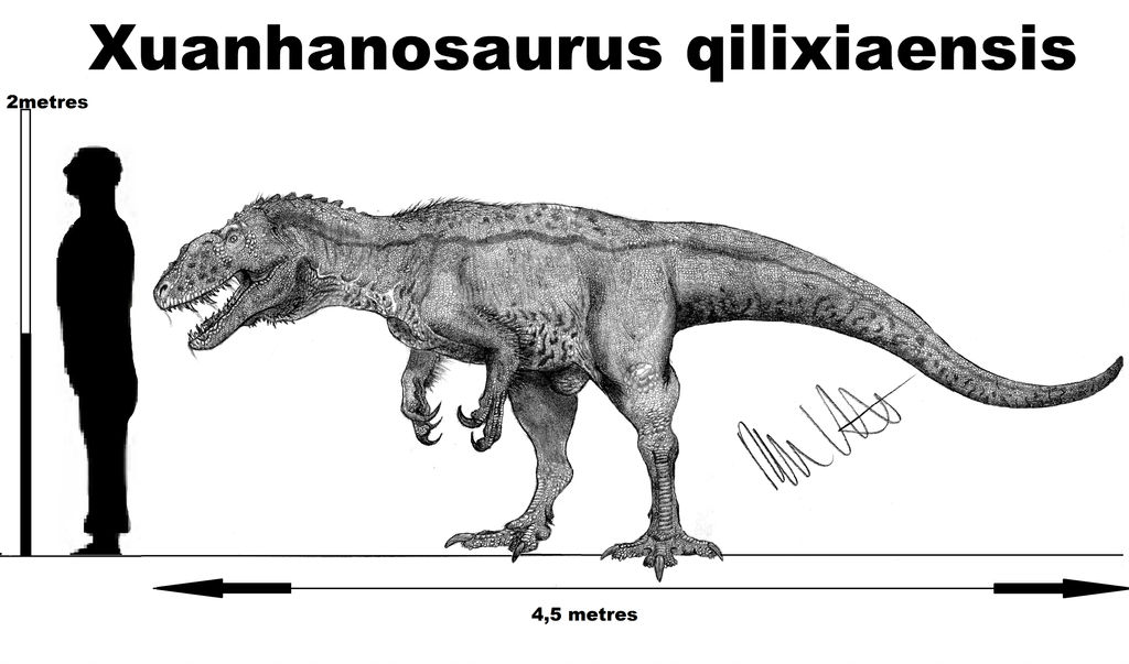 Xuanhanosaurus qilixiaensis by Teratophoneus on DeviantArt