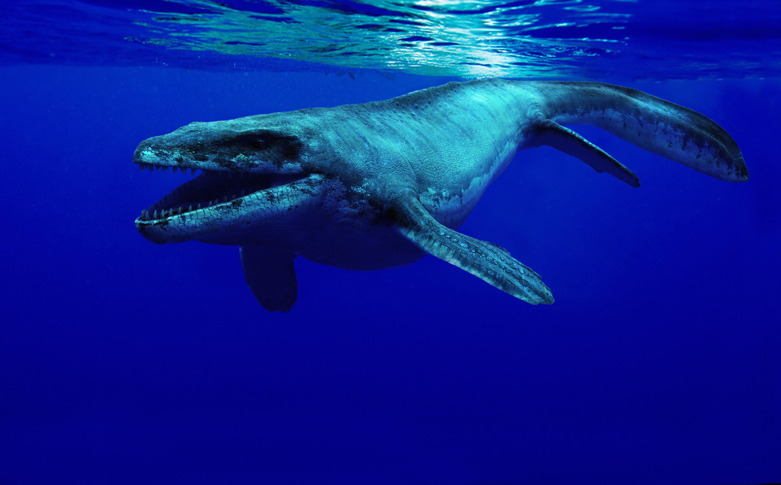 Prognathodon by Johnson-Mortimer on DeviantArt