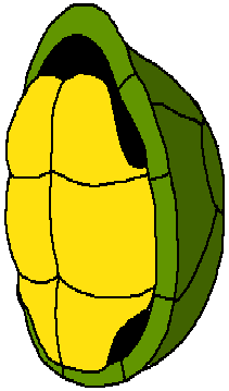 Cartoon Turtle Shell by XxRobotChaoxX on DeviantArt