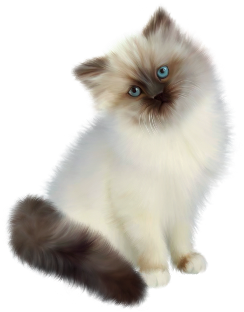 Siamese cat on a transparent background. by PRUSSIAART on DeviantArt