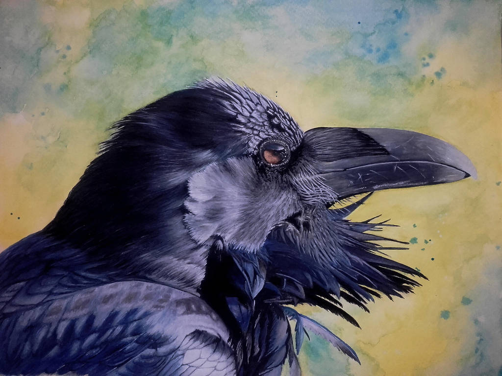 Corvid Collection - Raven by S4MMY4RT on DeviantArt