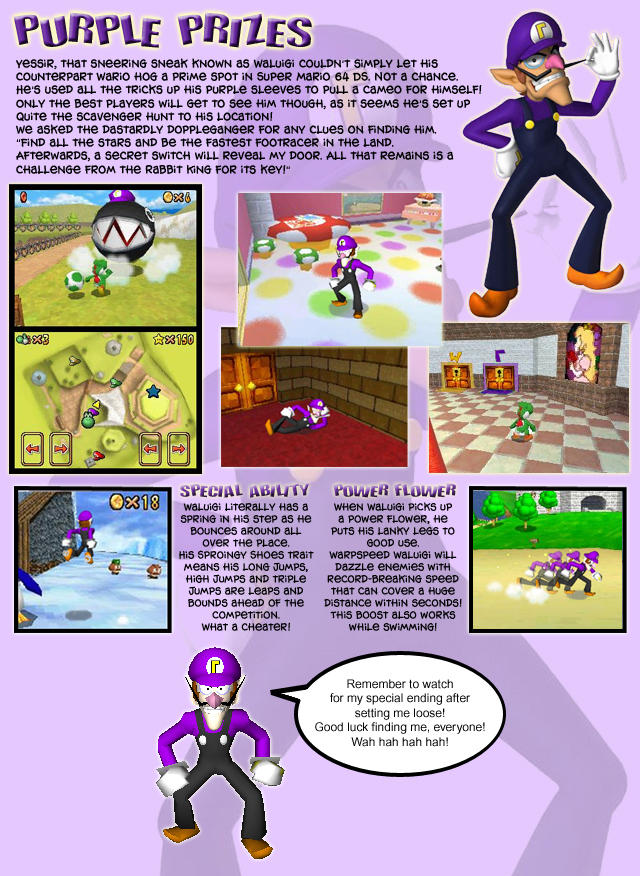 Waluigi in Super Mario 64 DS by King-Bowser-Koopa on DeviantArt