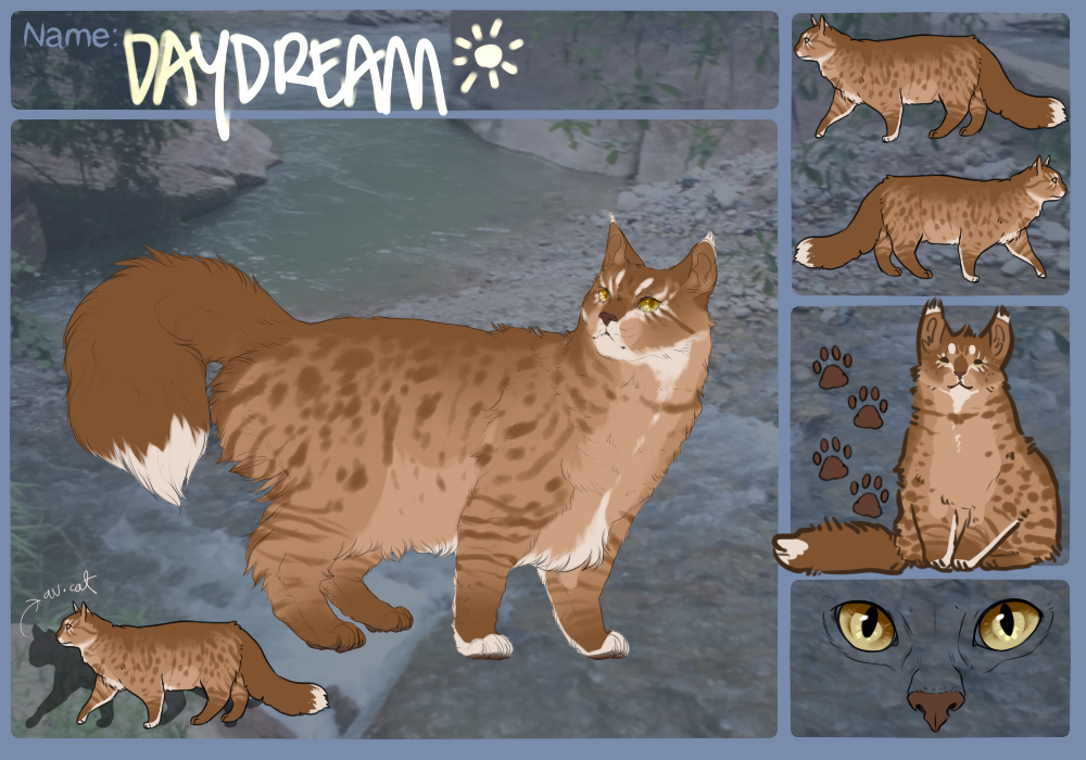 Fawnspots Ref by PatchyFallenstar on DeviantArt