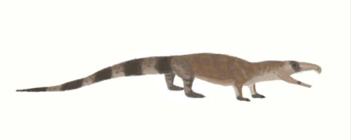 #proterosuchus | Explore proterosuchus on DeviantArt