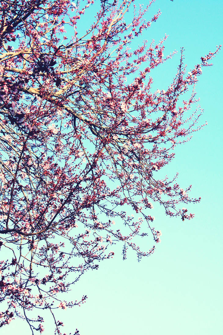 Pink Spit by MiranceAoronica on DeviantArt