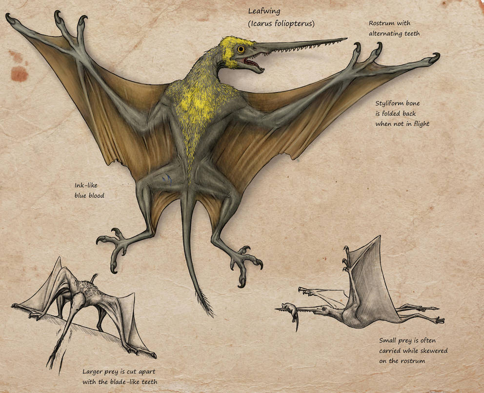 Speculative K:SI bullshit: Leafwing by Ramul on DeviantArt