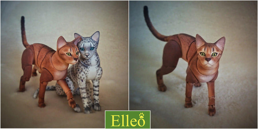 Elleo Dolls A1 by leo3dmodels on DeviantArt