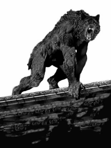 Werewolf on Rooftop by marianoleonardi on DeviantArt