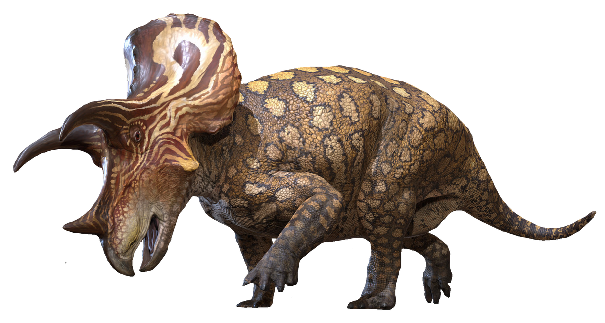 Saurian Triceratops Transparen! by Jacksondeans on DeviantArt