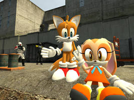 Sonic Ragdolls for Gmod. by wantwon on DeviantArt