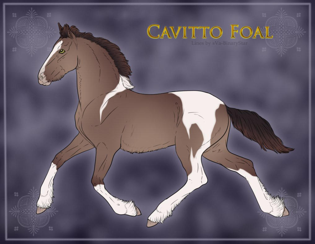 SOLD by ANIMALGIRL1869 on DeviantArt