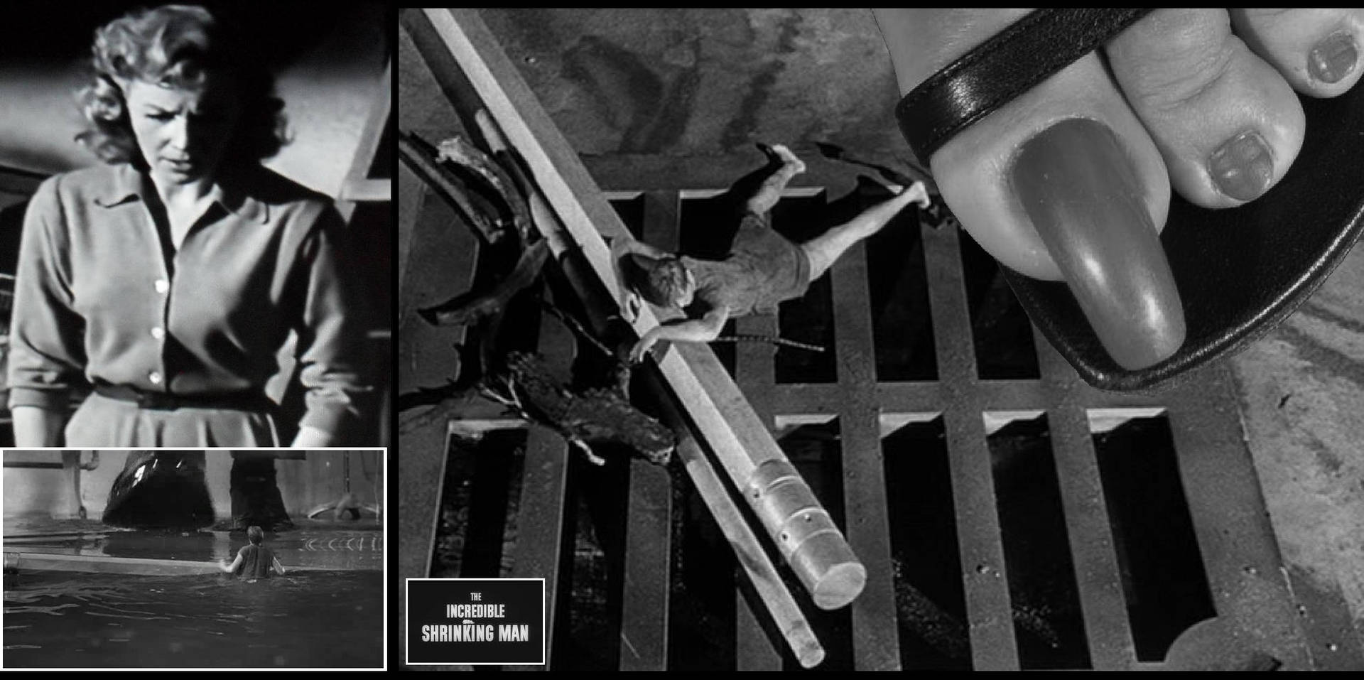 Incredible Shrinking Man - The Giant and Giantess! by GT647 on DeviantArt Incredible Shrinking Man - The Giant and Giantess! by GT647 on DeviantArt