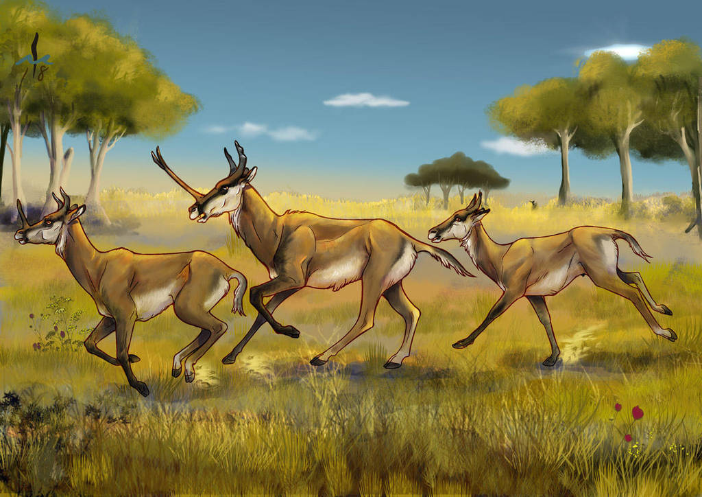 Synthetoceras by Ameban on DeviantArt