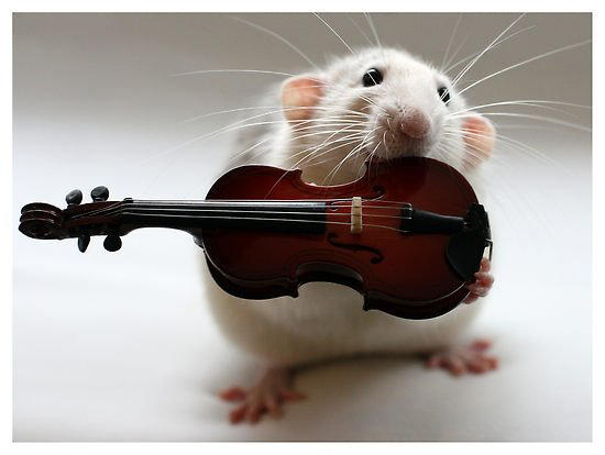 Mr. Mice and the Violin by red---fiddler on DeviantArt