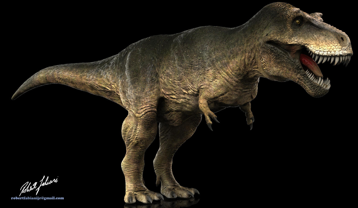 Tyrannosaurus Rex by robertfabiani on DeviantArt