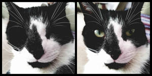 Yes ? by Arayashikinoshaka on DeviantArt