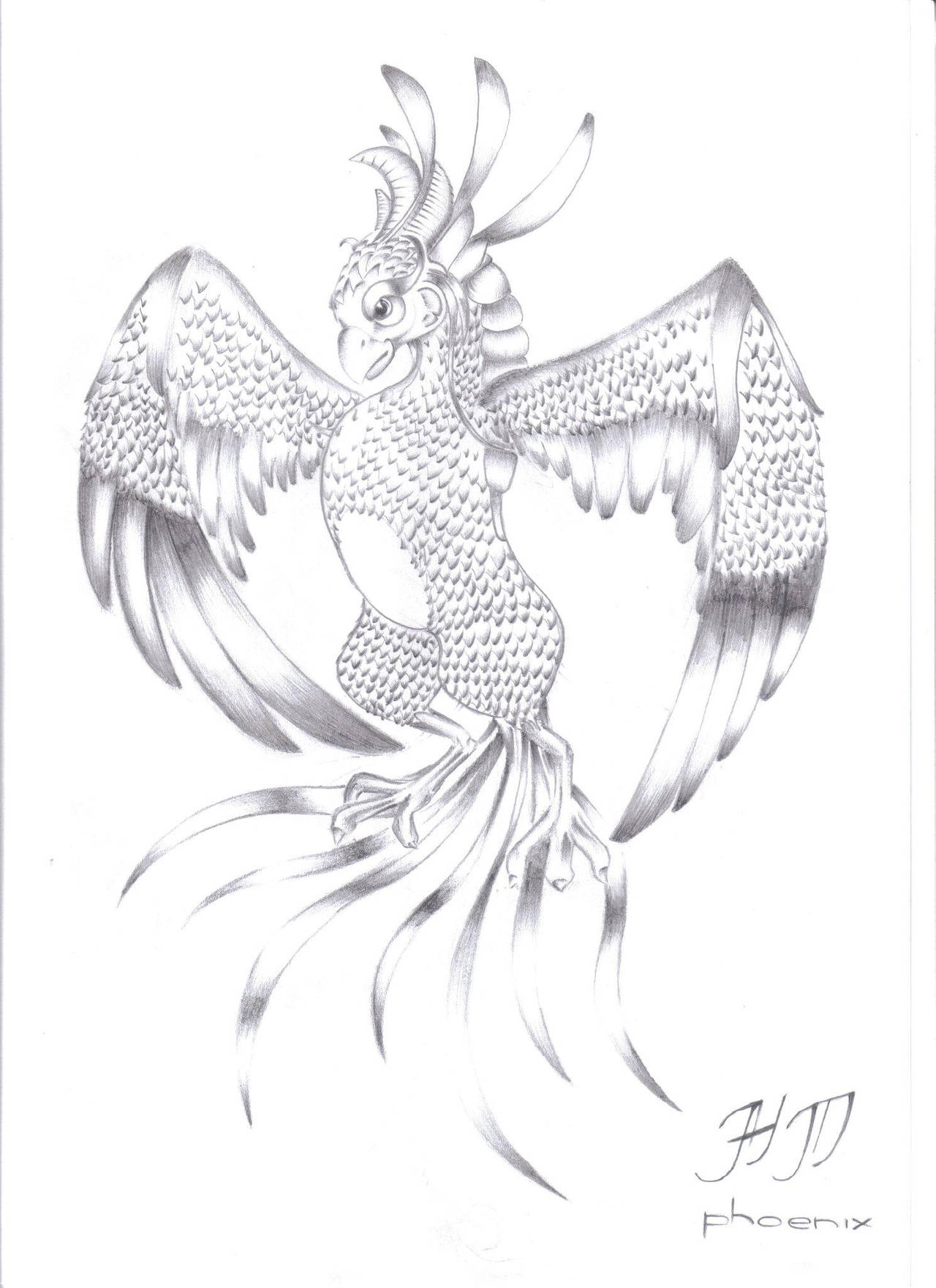 Phoenix Pencil Drawing by danielso1 on DeviantArt
