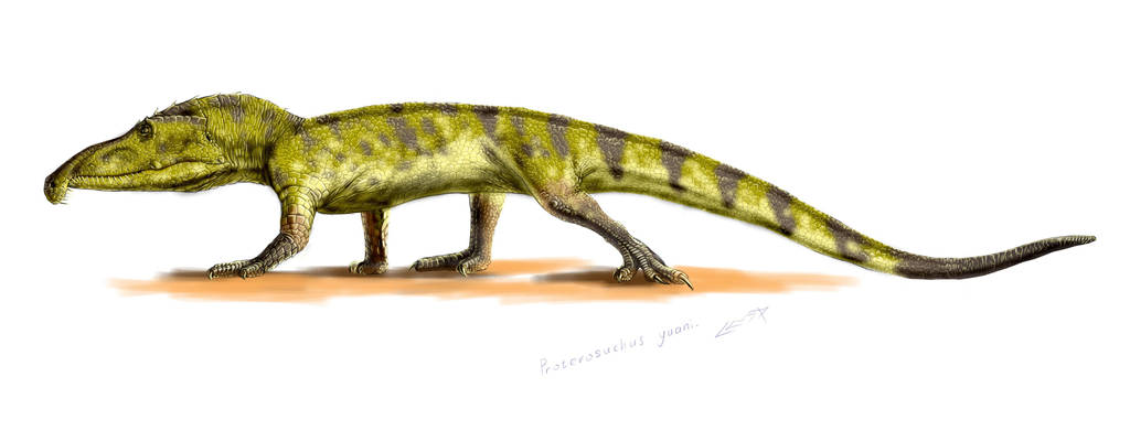 A LARGE SUGGESTION: Fossil Structures, new Creatures and (possibly) a ...