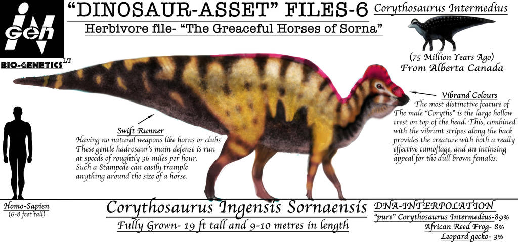 DINOSAUR ASSET FILES-CORYTHOSAURUS (UPDATE) by Taliesaurus on DeviantArt