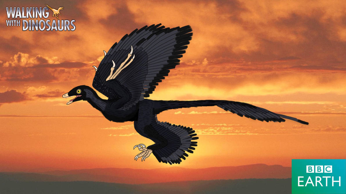 Walking with Dinosaurs: Microraptor by TrefRex on DeviantArt