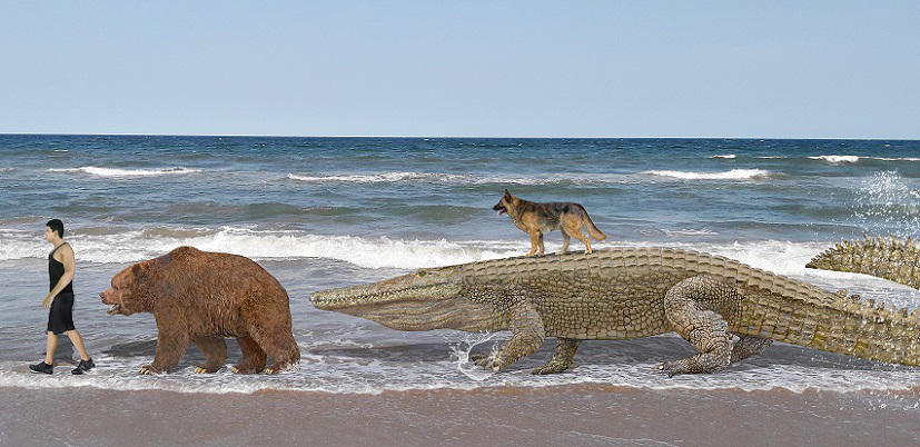 SameerPrehistorica | DeviantArt