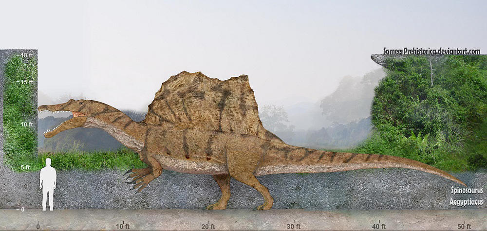 Spinosaurus by IMPULSEimpact on DeviantArt