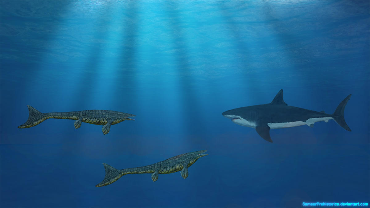 Mosasaurus vs Megalodon by SameerPrehistorica on DeviantArt